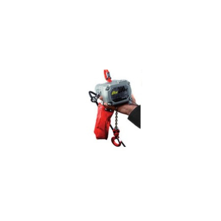 Mini palan électrique - Levage & accessoires chez Bauquip